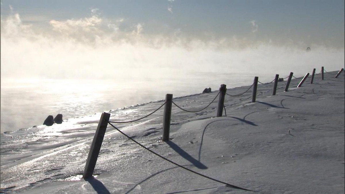 World News 01/30/19: Arctic Cold Stops USPS Mail Delivery In Parts Of ...