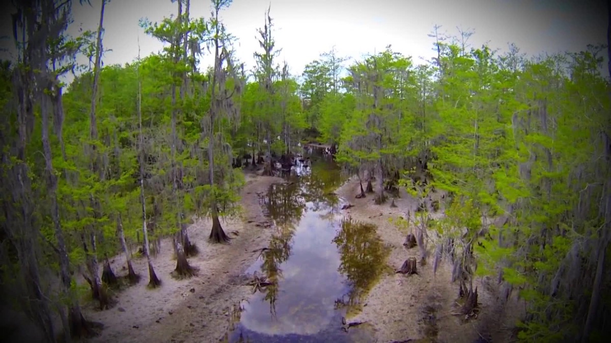 ‎Team Primos Hunts Turkeys & Hogs in Florida – Primos Truth About ...