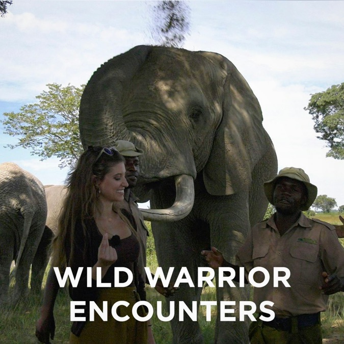 ‎Wild Warrior Encounters - Apple TV