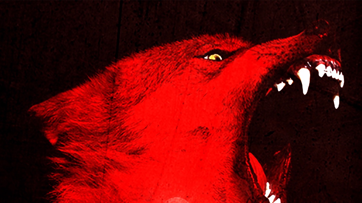 ‎La noche del Lobo - Apple TV