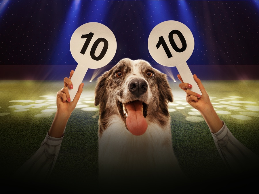 The Secret Life of Dancing Dogs - Apple TV