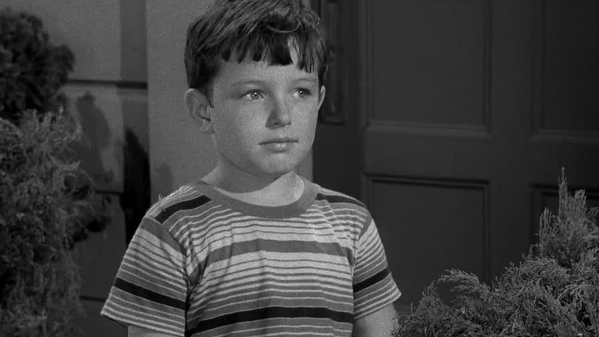 Buddy Hart Leave It To Beaver