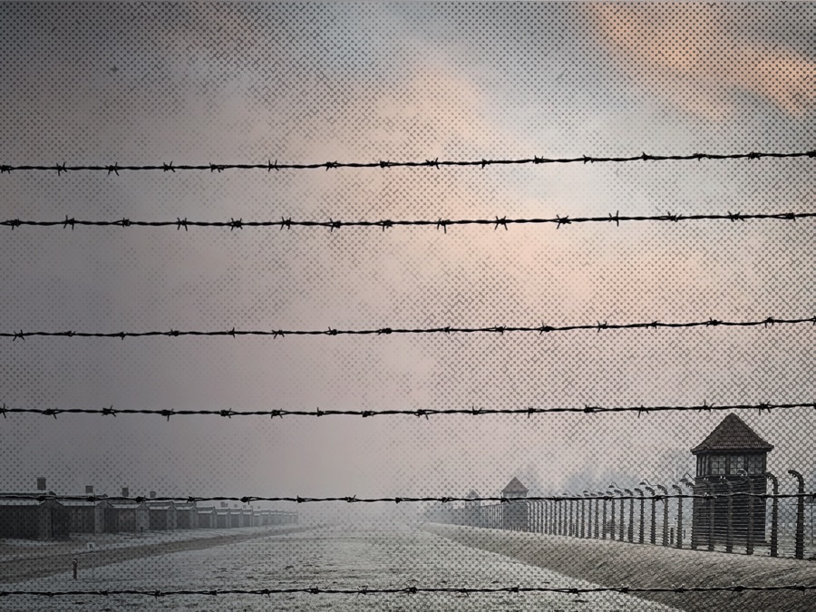 What Happened at Auschwitz - Apple TV