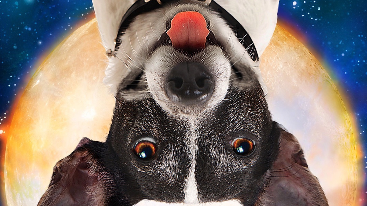 Vampire Dog - Apple TV