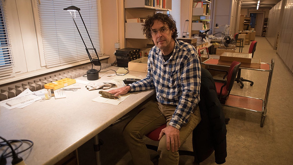 Night Parrot Stories - Apple TV (NZ)