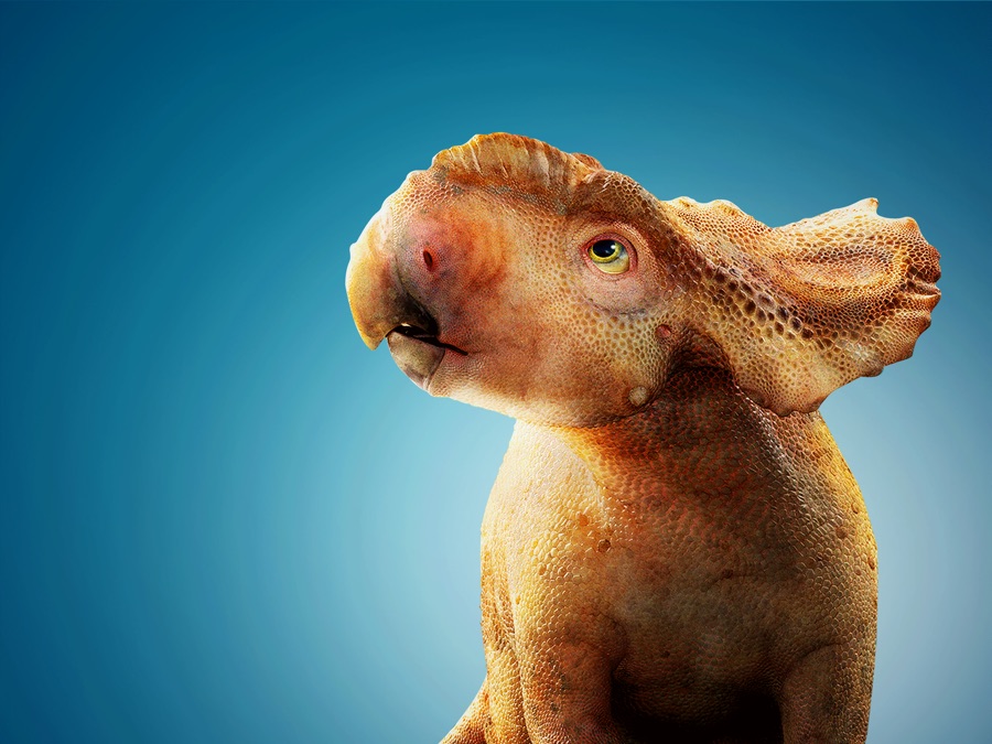 Walking With Dinosaurs 3d Juniper