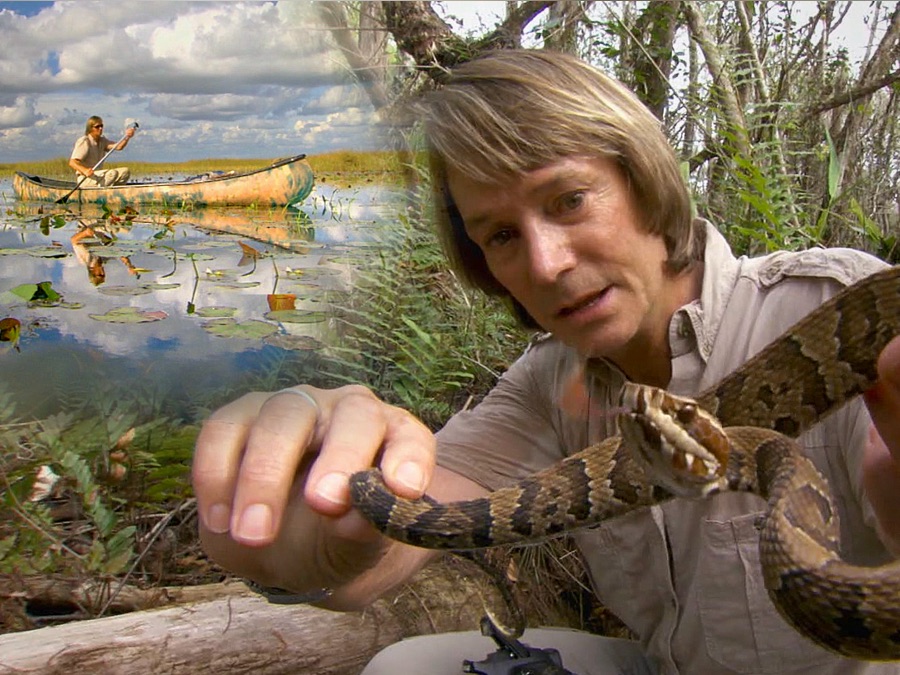 Austin Stevens Adventures - Apple TV (MX)