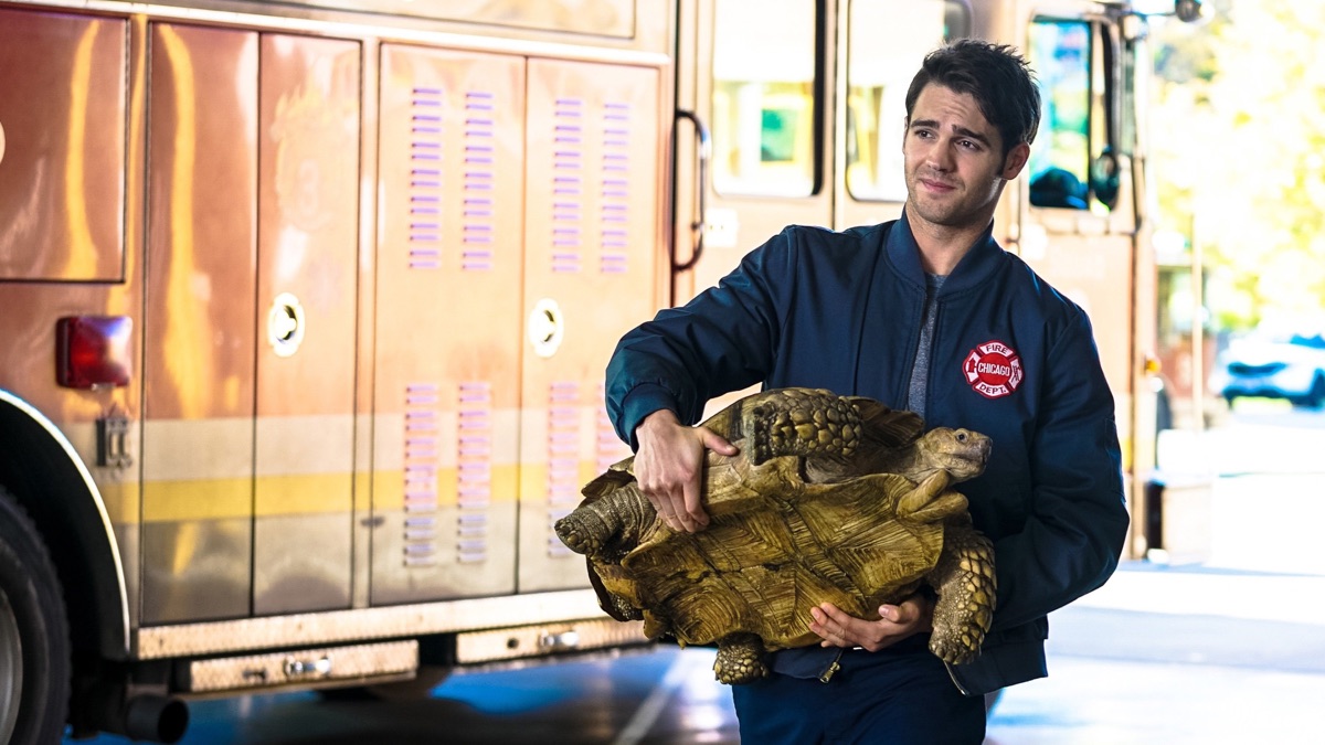 ‎When Tortoises Fly - Chicago Fire (Series 4, Episode 8) - Apple TV (ES)
