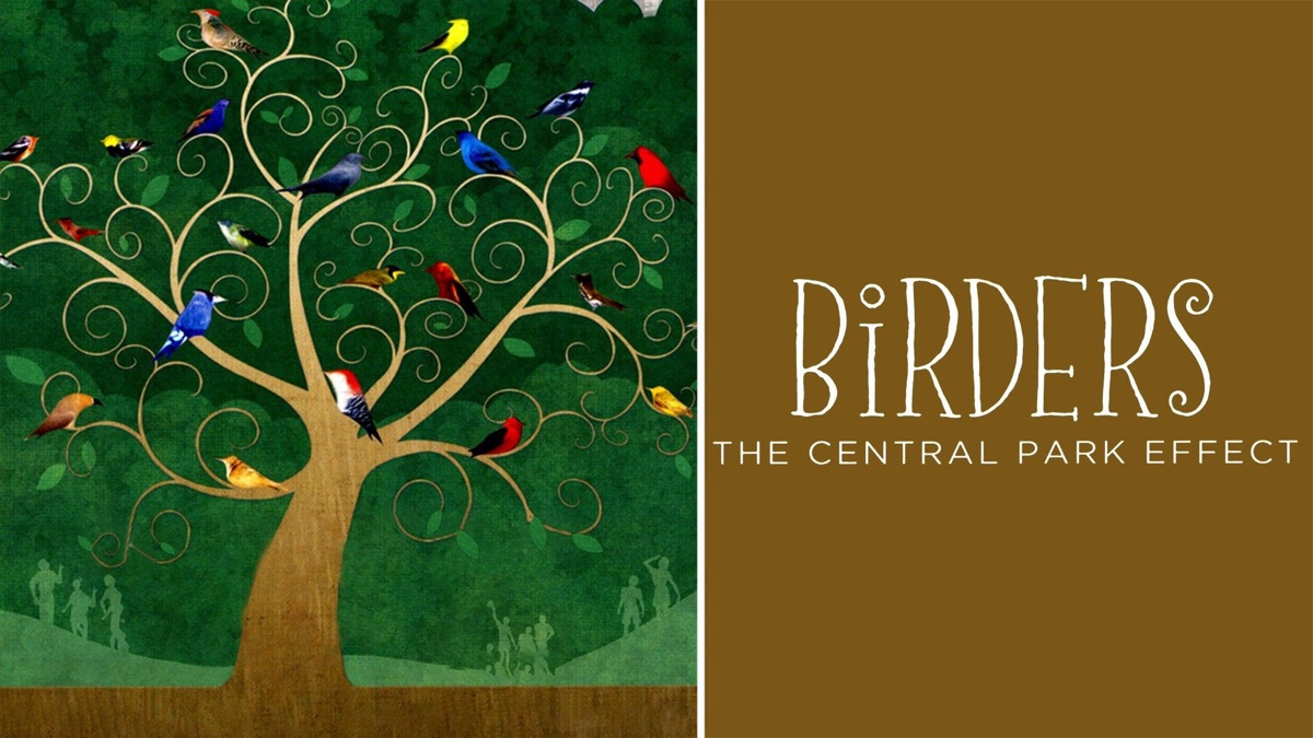 ‎Birders: The Central Park Effect - Apple TV