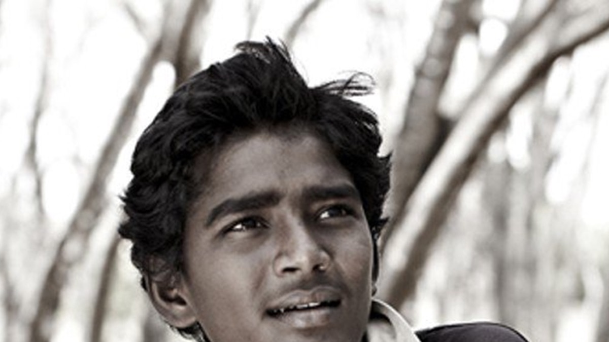 ‎Fandry - Apple TV