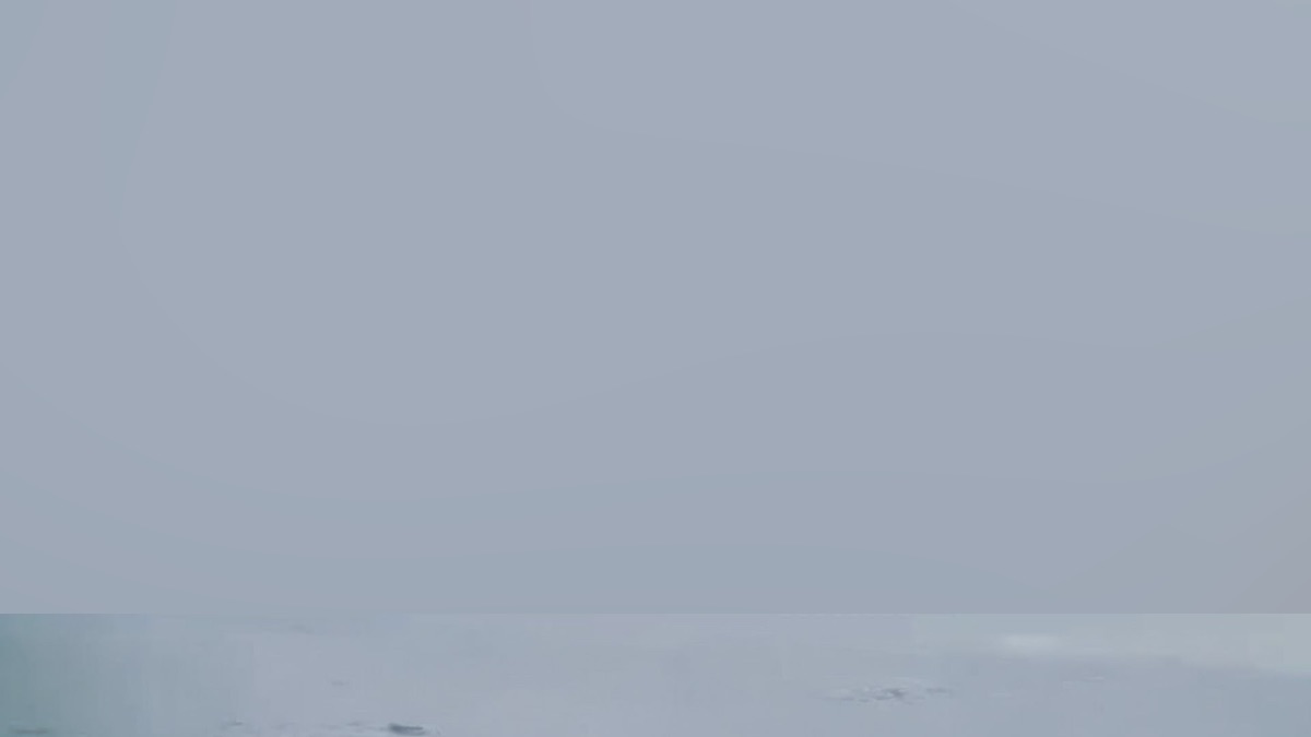 ‎Das Ende von Buffalo Airways? | Ice Pilots - Apple TV