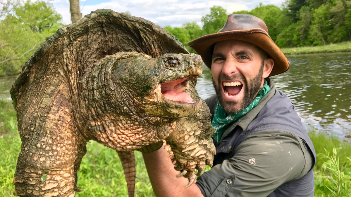 Legendary Turtle of Texas - Coyote Peterson: Brave the Wild (Season 1 ...