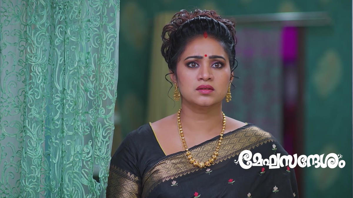 ‎Chandra's Words Crush Pooja - Meghasandhesham (Series 1, Episode 166 ...