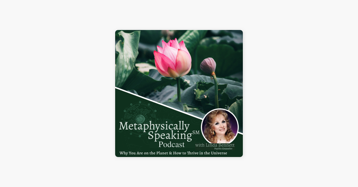 ‎Metaphysically Speaking®: EP 013: What is Little and Big Good and ...