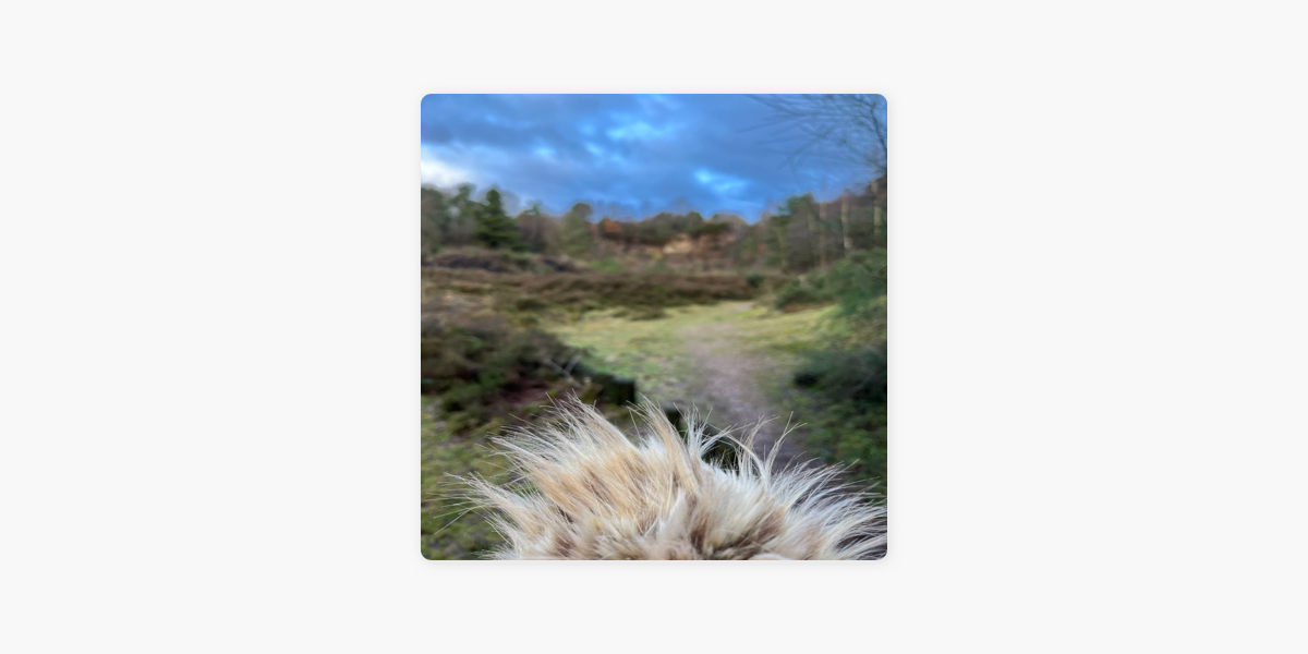 ‎The Roaming Recorder em Apple Podcasts
