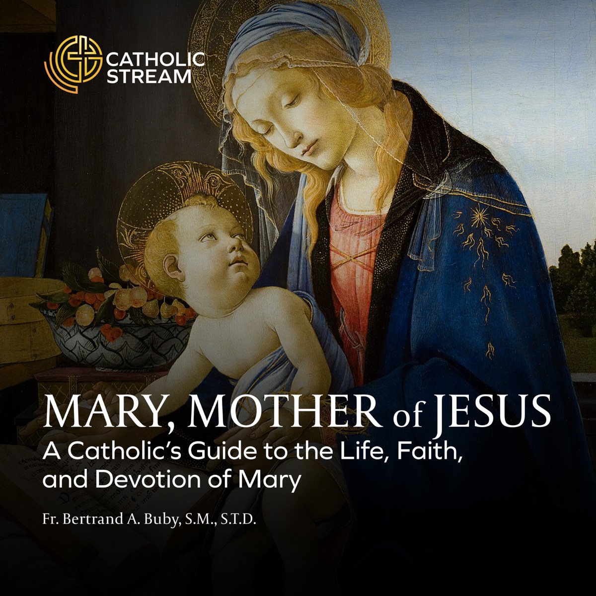Mary, Mother of Jesus: A Catholic's Guide to the Life, Faith, and ...