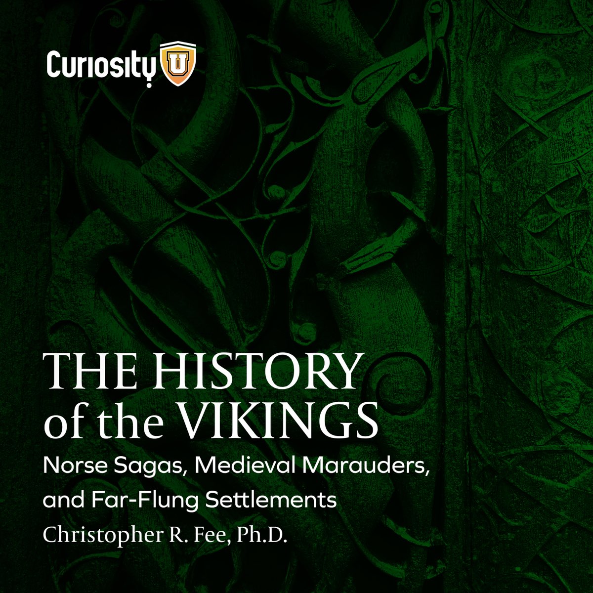 „The History of the Vikings: Norse Sagas, Medieval Marauders, and Far ...