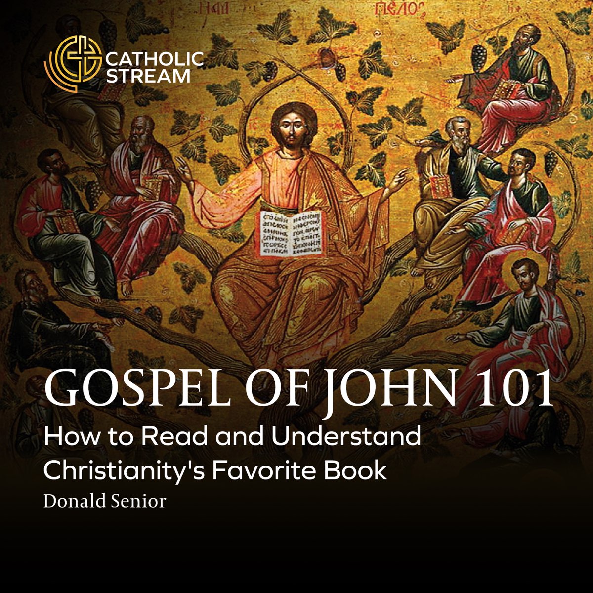 The Resurrection of Jesus in t - Gospel of John 101: How to Read and ...