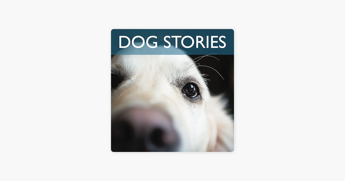 ‎Dog Stories on Apple Podcasts
