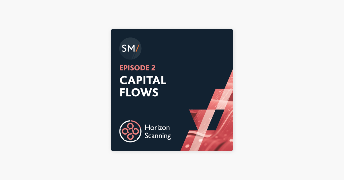 Horizon Scanning: Horizon Scanning 2024 Launch Series – Capital Flows ... Horizon Scanning: Horizon Scanning 2024 Launch Series – Capital Flows ...