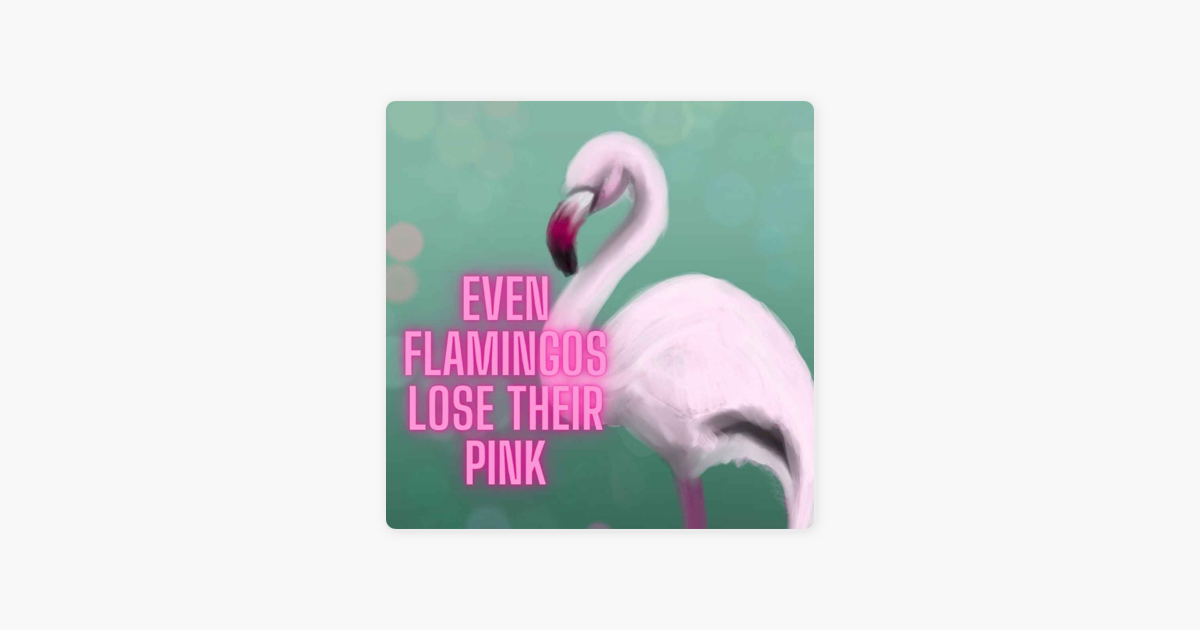 ‎Even Flamingos lose their pink on Apple Podcasts