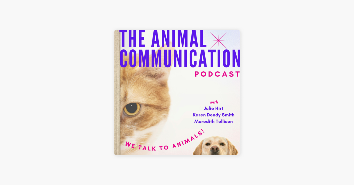 ‎The Animal Communication Podcast: The Magic of Cicadas on Apple Podcasts