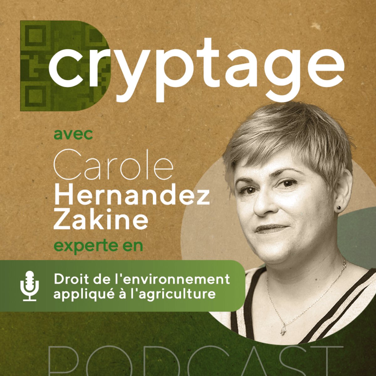D-cryptage Podcast - Apple Podcasts