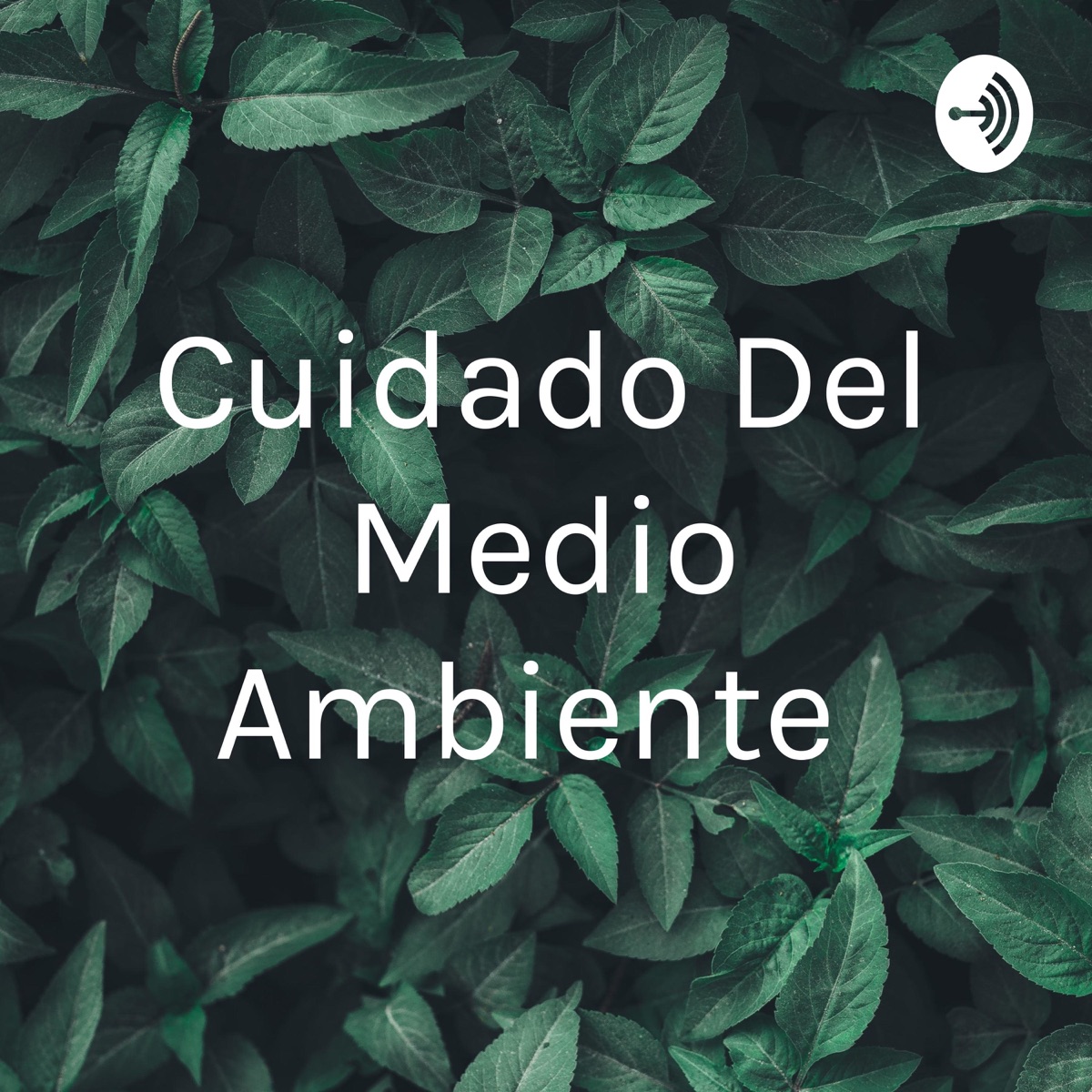 Cuidado Del Medio Ambiente – Podcast – Podtail Cuidado Del Medio Ambiente – Podcast – Podtail