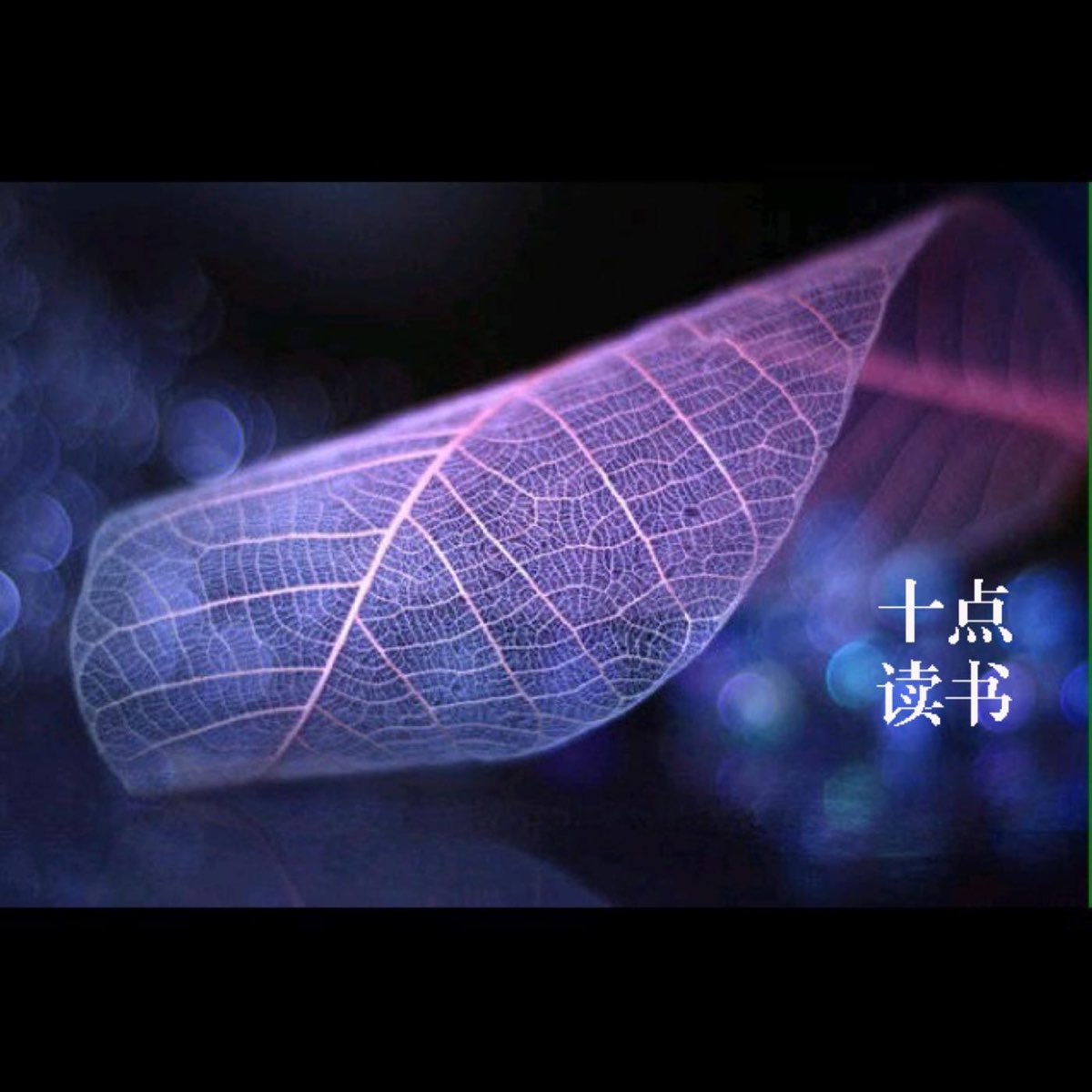 《十点读书官方播客》播客系列 Apple 播客