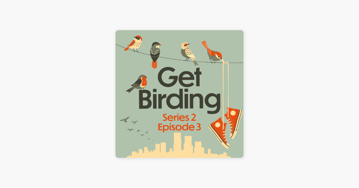 ‎Get Birding: Series 2: Episode 3 - Ben McCarthy, Alys Laver and ...
