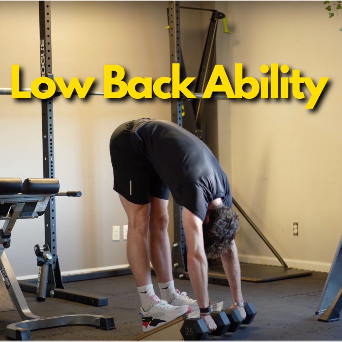 Low Back Ability - Podcast - Apple Podcasts