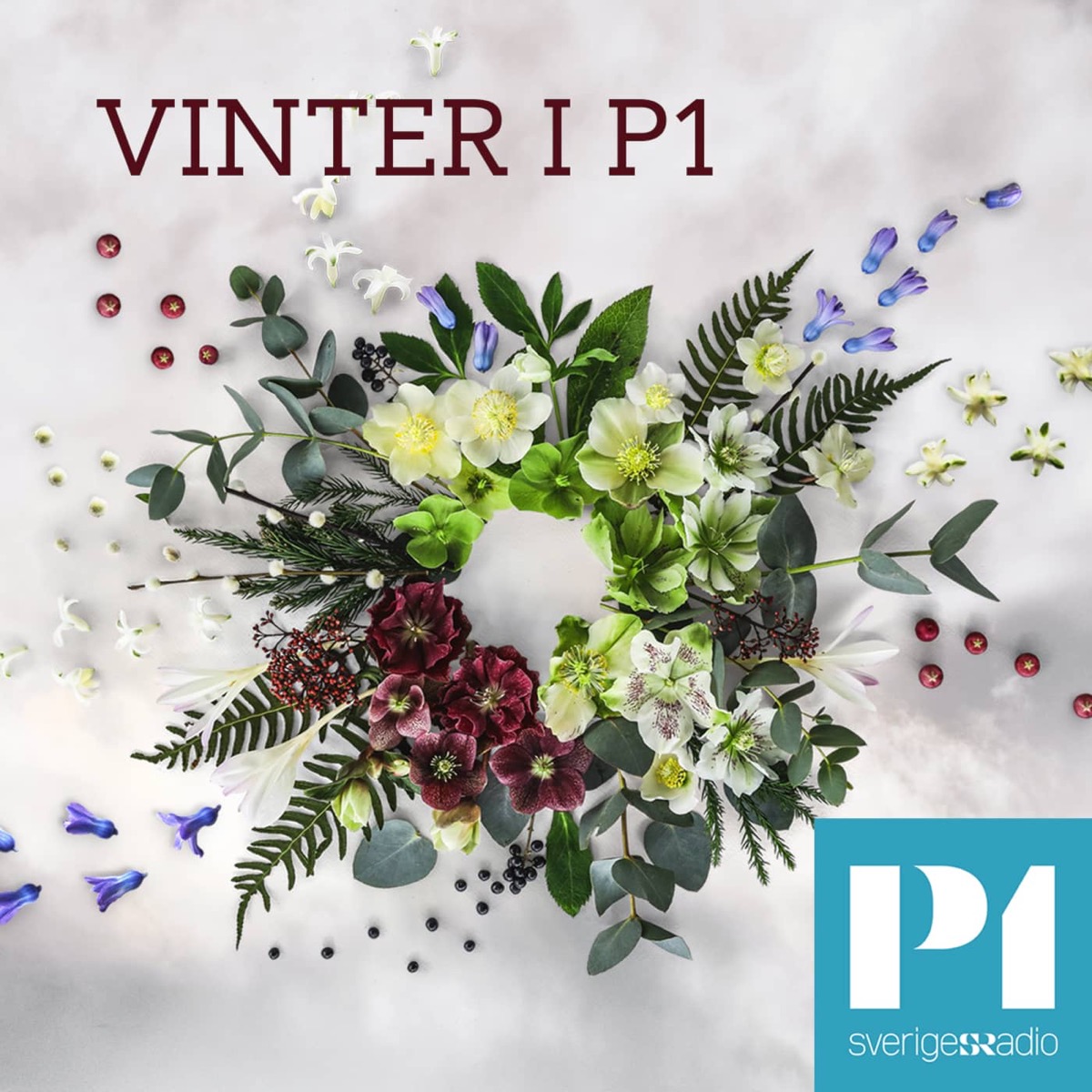 Sommar And Vinter I P1 Lyssna Här