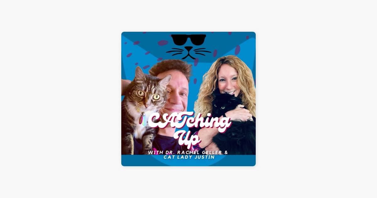 The Kitty Boss: Decoding Cat Health: Sleep, Digestion, and Mental Well ... The Kitty Boss: Decoding Cat Health: Sleep, Digestion, and Mental Well ...