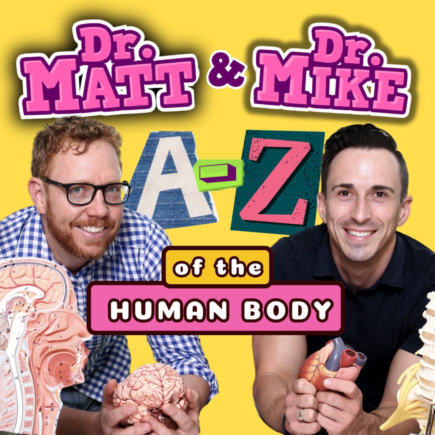 Abdominal Muscles – Dr Matt & Dr Mike's A-Z of the Human Body – Podcast ...
