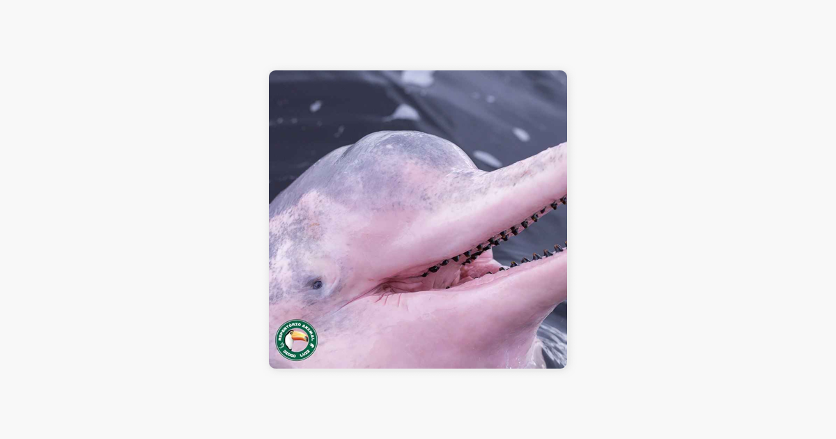‎Deep Marine Scenes: Facts: The Pink River Dolphin (Amazon River ...