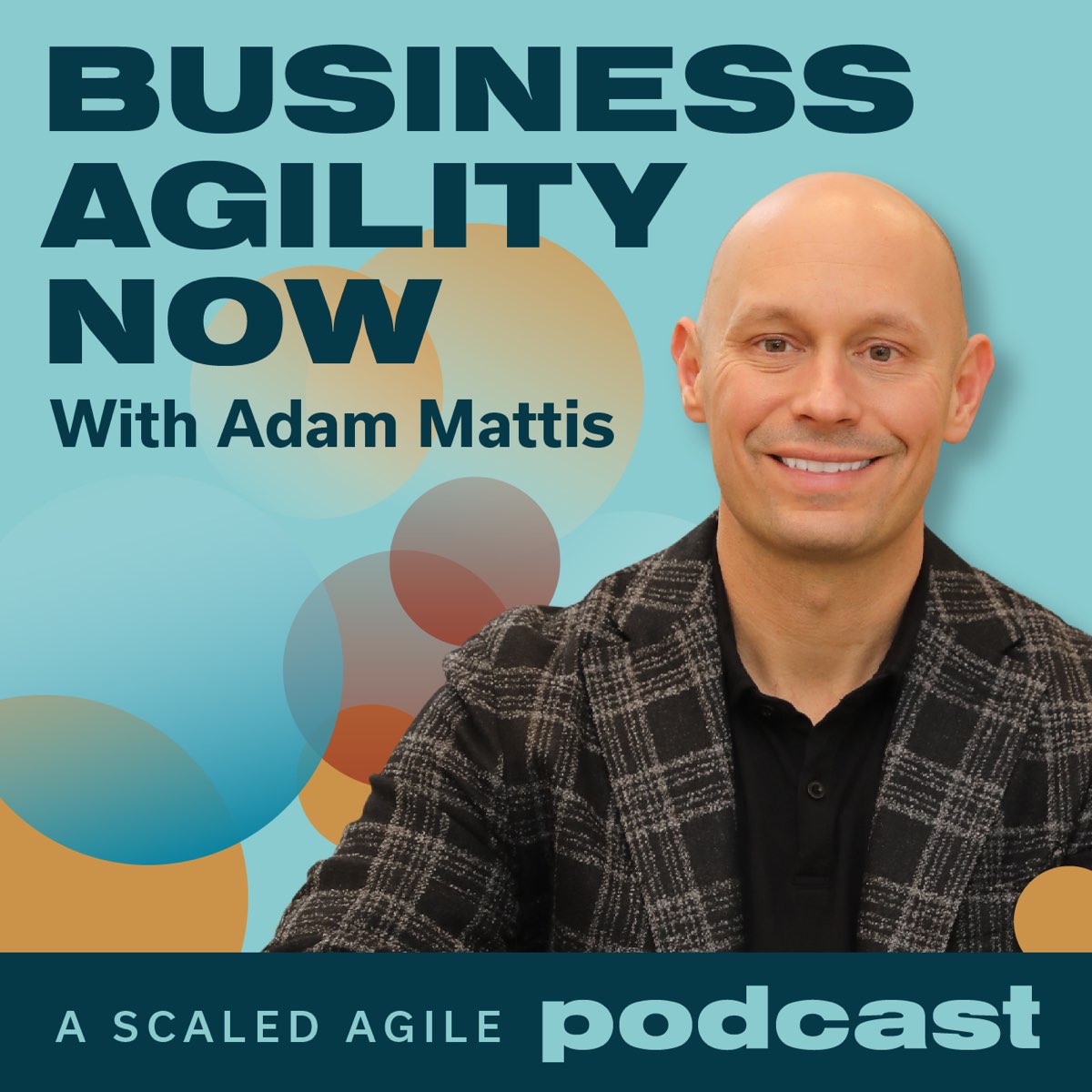 Business Agility Now Podcast Podcast Apple Podcasts