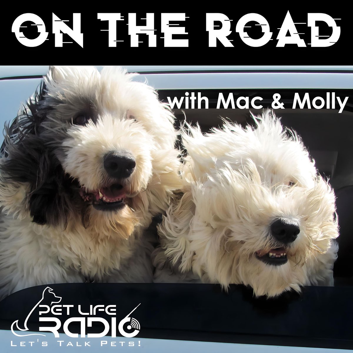 On The Road with Mac and Molly - Pets & Animals on Pet Life Radio ...