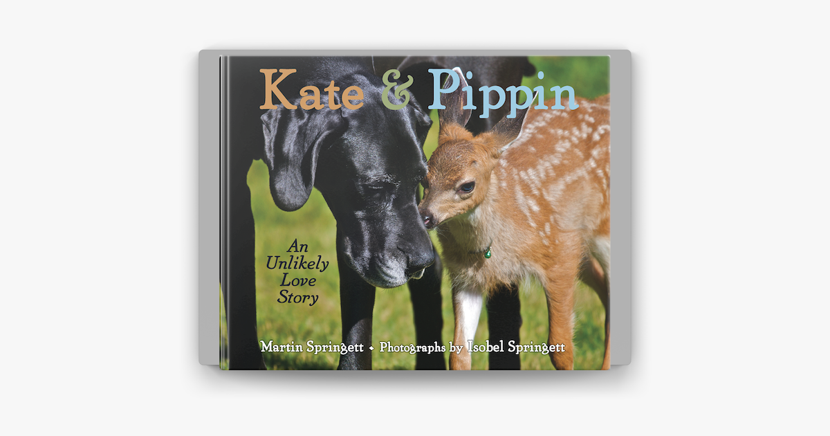 ‎Kate & Pippin by Martin Springett on Apple Books