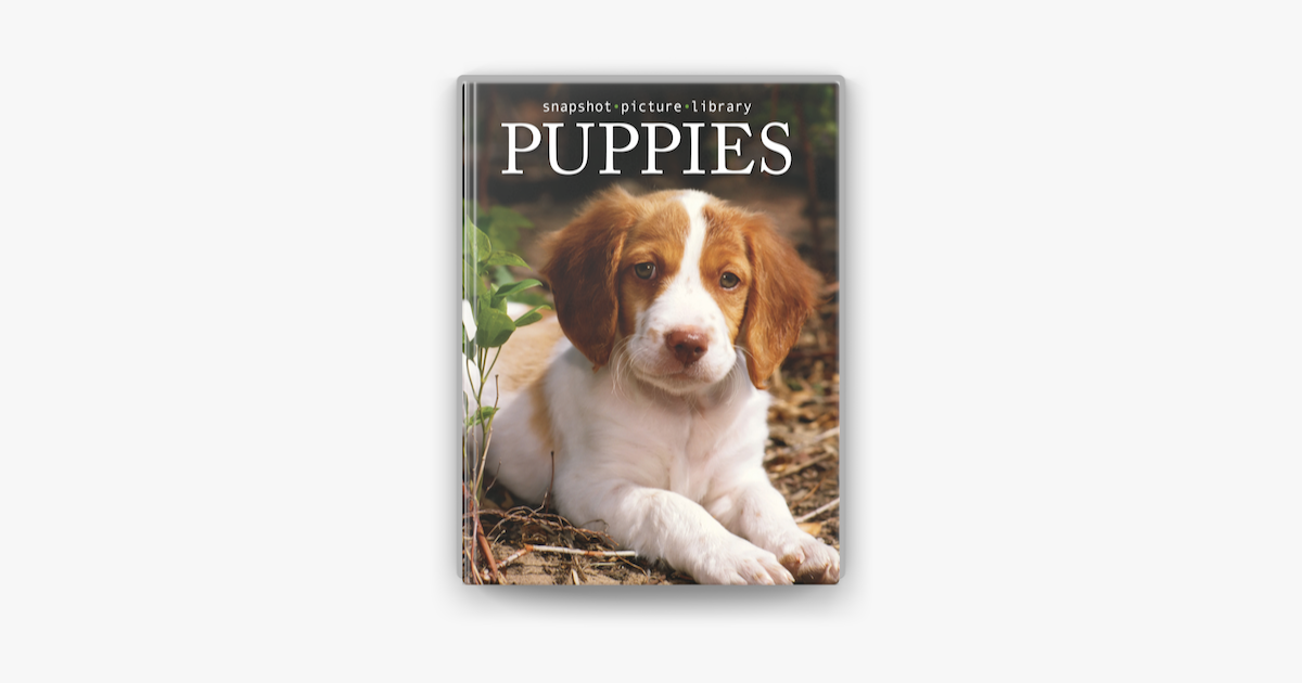 ‎Puppies by Snapshot Picture Library on Apple Books