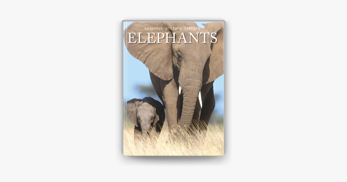 ‎Elephants by Snapshot Picture Library on Apple Books