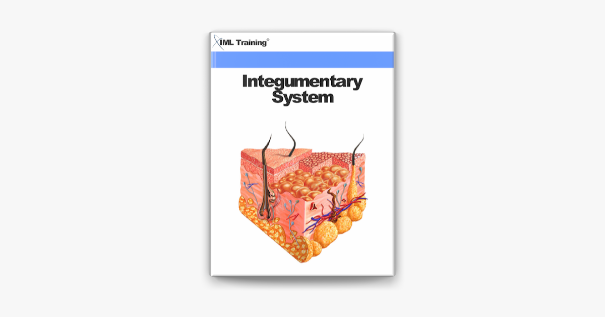 ‎Integumentary System (Human Body) by IML Training on Apple Books