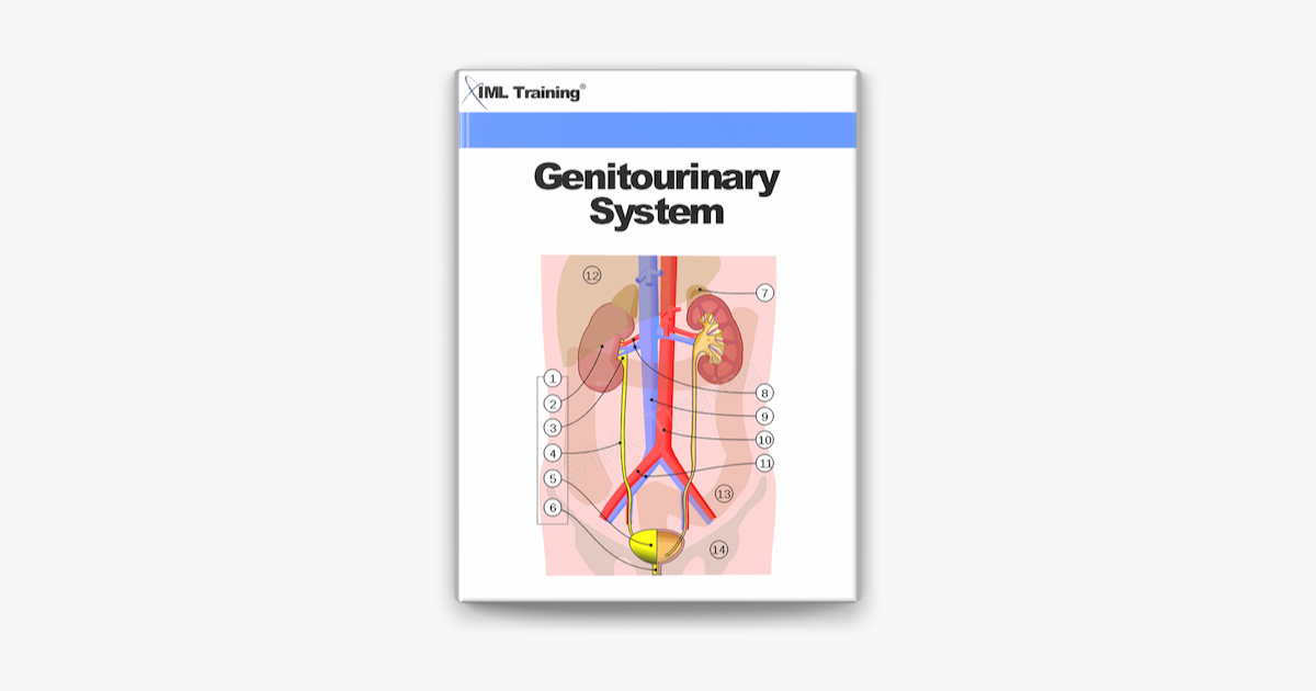 ‎Genitourinary System (Human Body) by IML Training on Apple Books