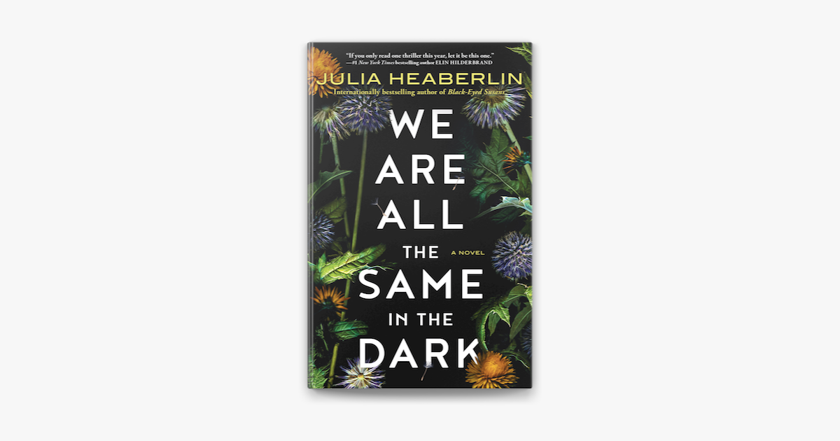 ‎We Are All the Same in the Dark by Julia Heaberlin on Apple Books