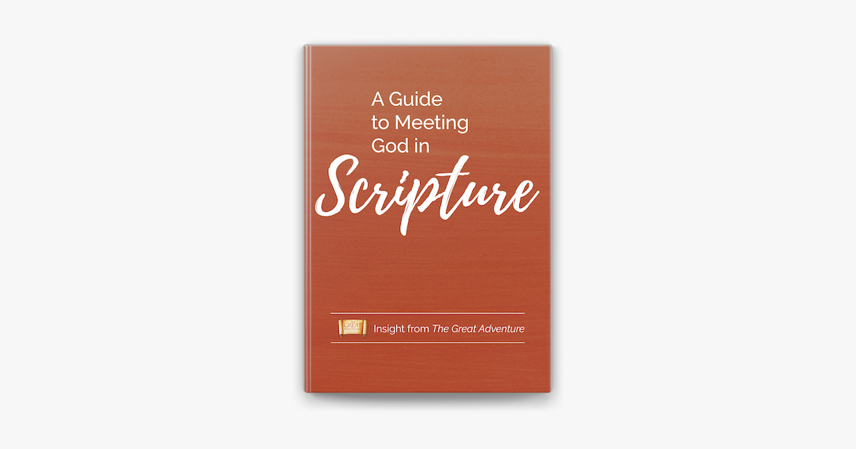 ‎A Guide to Meeting God in Scripture by Jeff Cavins on Apple Books