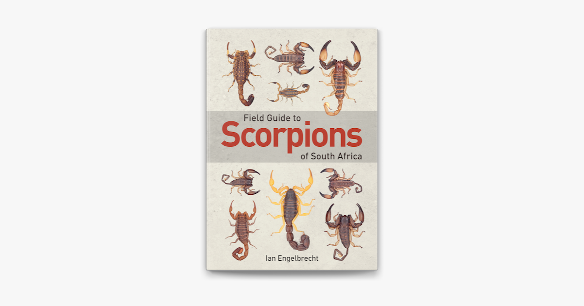 ‎Field Guide to Scorpions of South Africa by Ian Engelbrecht on Apple Books