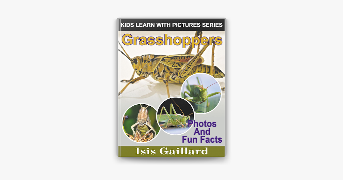 ‎Grasshoppers Photos and Fun Facts for Kids on Apple Books