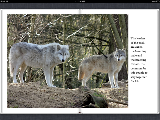 ‎Wolves on Apple Books