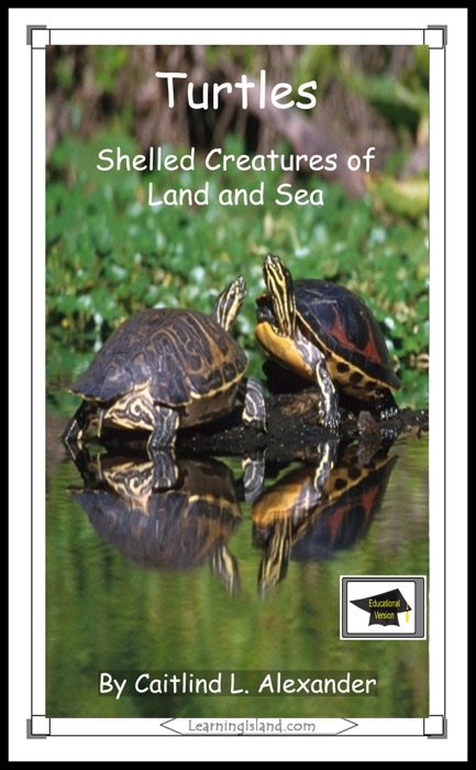 (DOWNLOAD) "Turtles: Shelled Creatures of Land and Sea: Educational ...