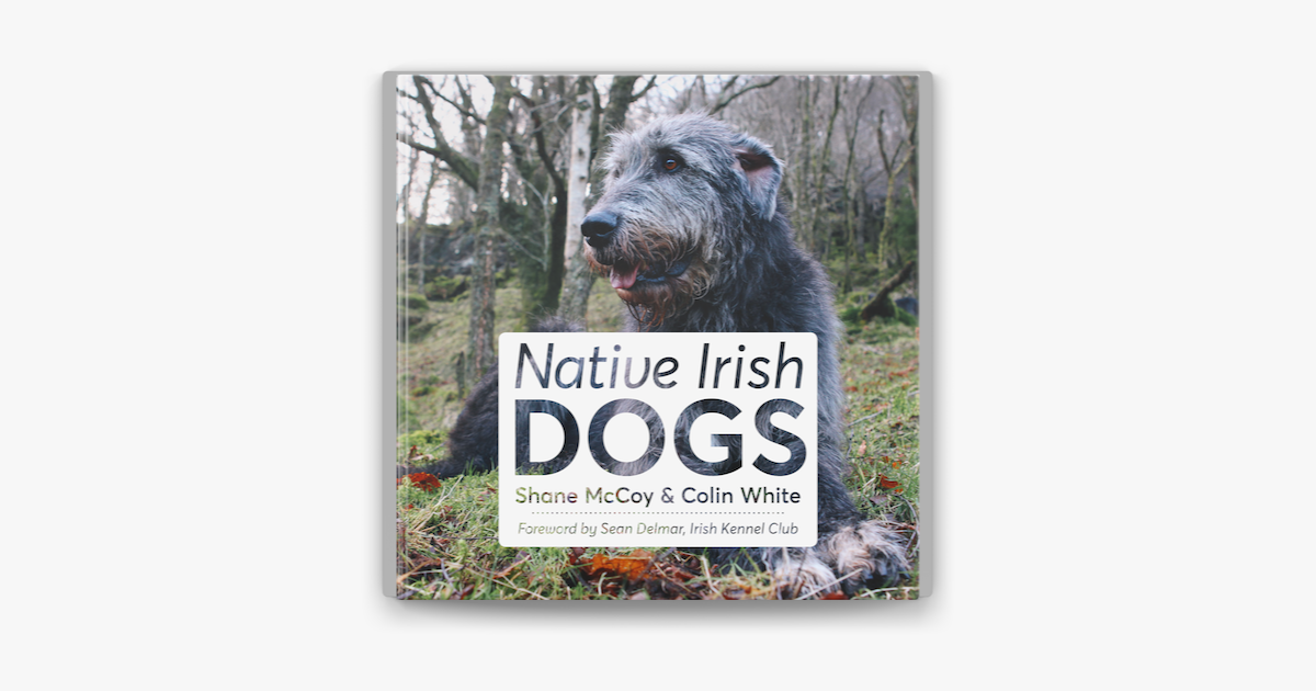 ‎Native Irish Dogs của Shane McCoy trên Apple Books