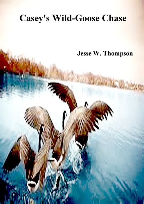 DOWNLOAD ~ Casey's Wild Goose Chase # by Jesse W. Thompson ~ Book PDF ...